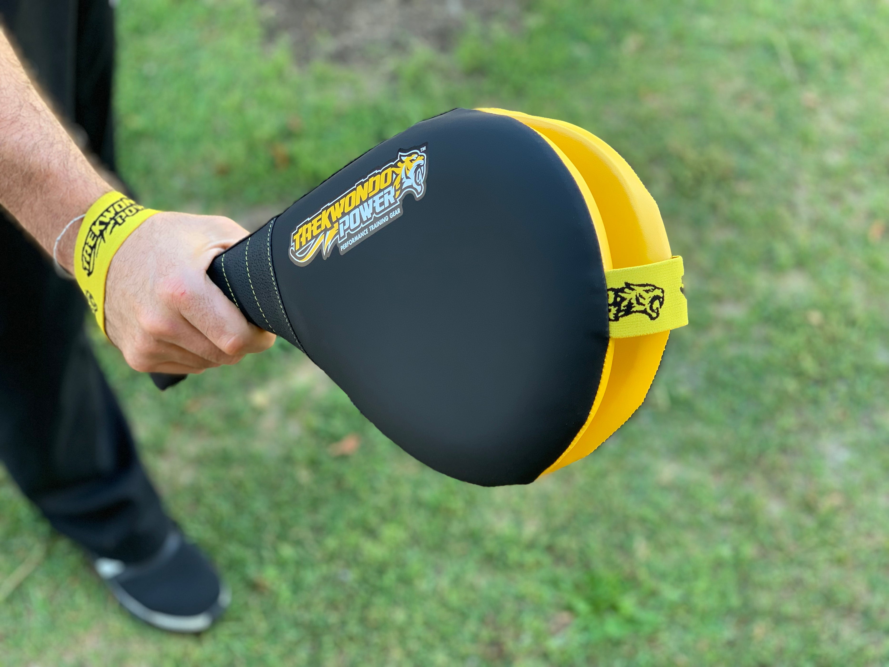 Double Clapper Kicking Target for Taekwondo Training — Taekwondo Power